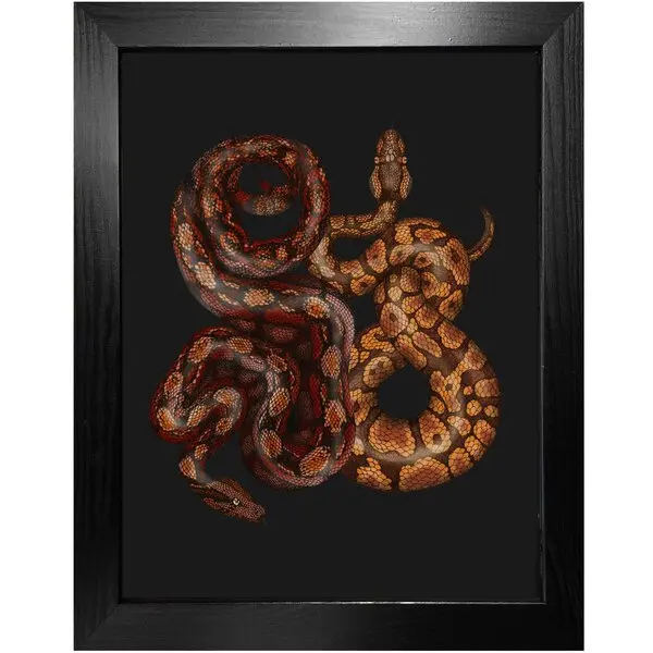 EMILY CARTER Antique Python & Viper Fine Art Print A4 - Brown