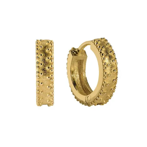 CHARLOTTE'S WEB JEWELLERY Rania Huggie Hoop Earrings - Gold