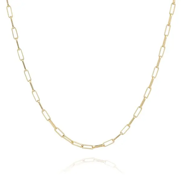 COCO & KINNEY Long Robin Chain Necklace