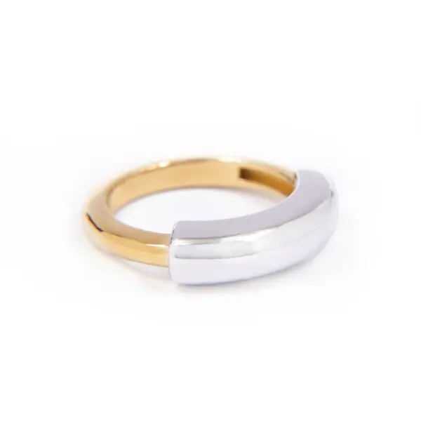 BELINDA JEWELZ Nova Mixed Metal Ring - Gold