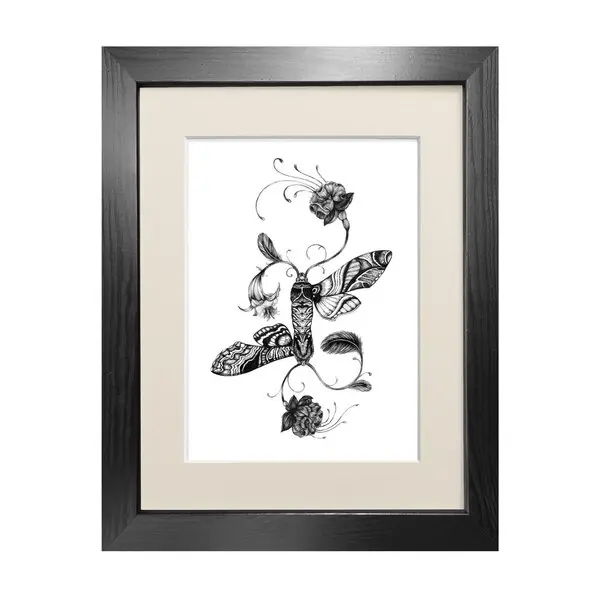 EMILY CARTER Fuchsiadoptera' Fine Art Print A4 - Black