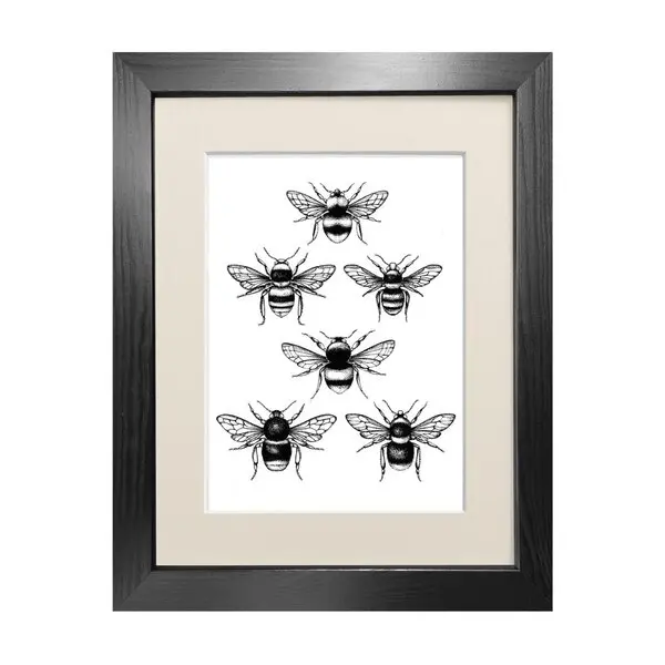 EMILY CARTER British Bees' Fine Art Print A4 - Black