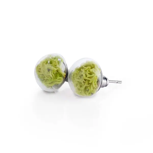 MY LITTLE NATURE Handmade Stud Earrings With Natural Neon Color Moss Festival Jewelry - Green