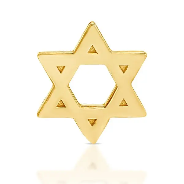 Maya Brenner Designs Charm Stud 14k Yellow Star Of David