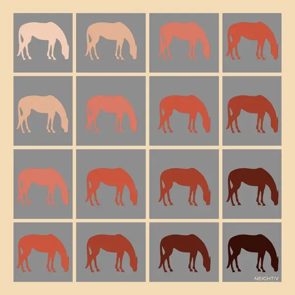 NEIGHTIV Checkered Horse Silk Scarf- Grazing Symmetry Large - Grey