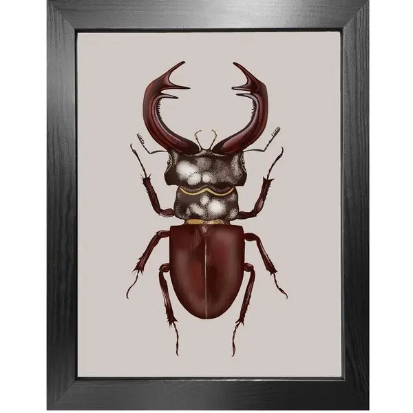 EMILY CARTER Antique Stag Beetle Fine Art Print A4 - Brown