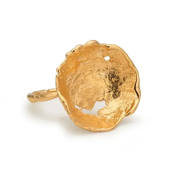 EVA REMENYI Vacation Sun Ring - Gold