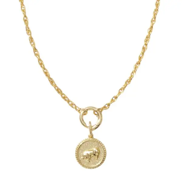 ALEXIE OF ATHENS Lunar Long Chain Medallion Necklace- Monkey - Gold