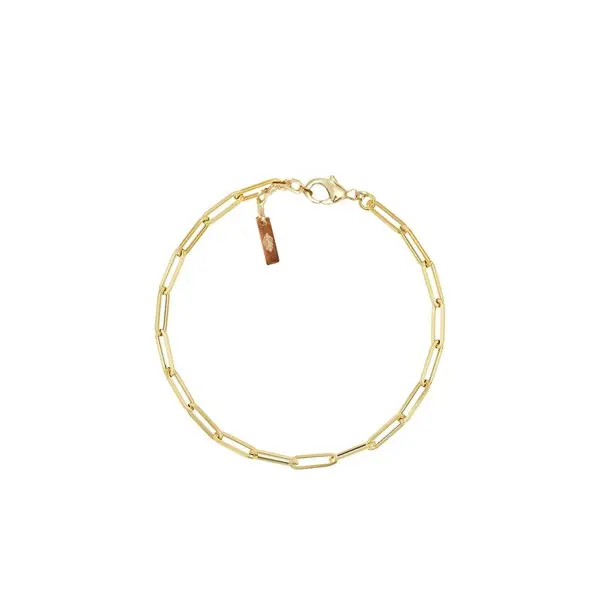 ADRIANA PAPPAS DESIGNS Paperclip Chain Bracelet - Gold