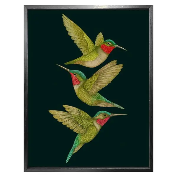 EMILY CARTER Tropical Hummingbirds Charcoal Fine Art Print L - Black