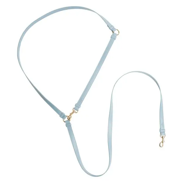 ALECOO Classy Dog Leash Adjustable Ice Gold - Blue