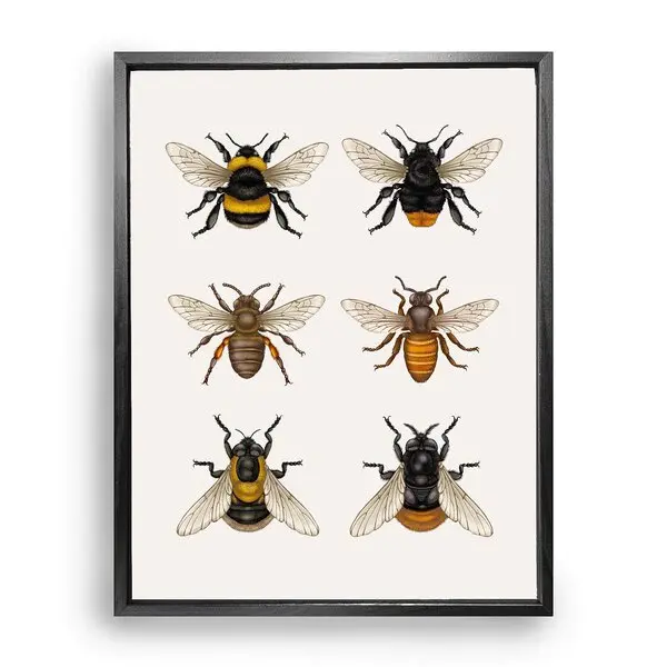 EMILY CARTER British Bees Fine Art Print L - Gold