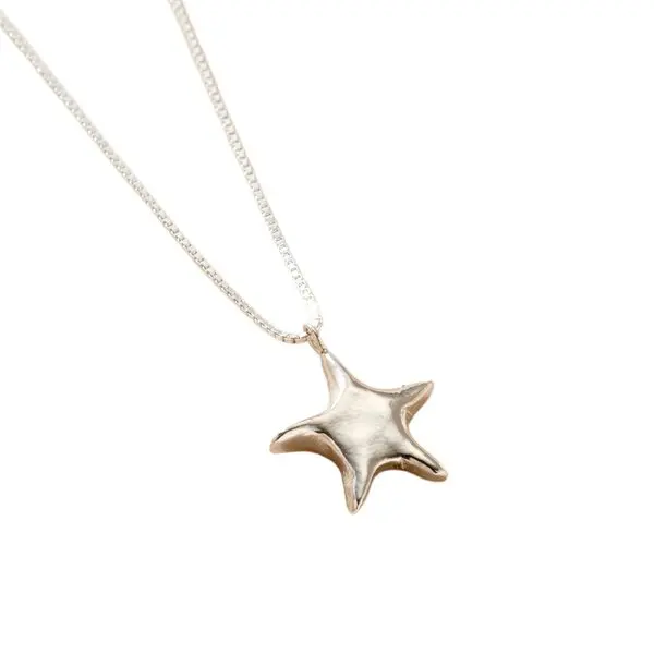 POSH TOTTY DESIGNS Sterling Chunky Star Pendant Necklace With Box Chain - Silver