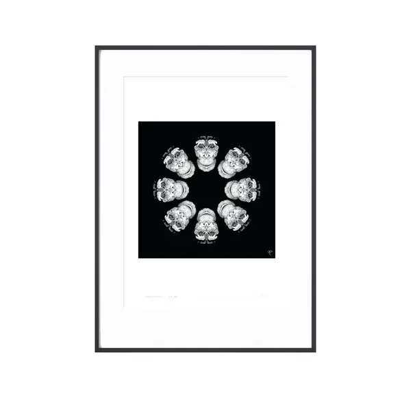 Curiosity Snug Curious Creatures Series Chimp Daisy Print - Black