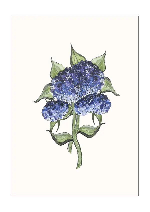 BELL HUTLEY Botanical Hydrangea Print - Blue