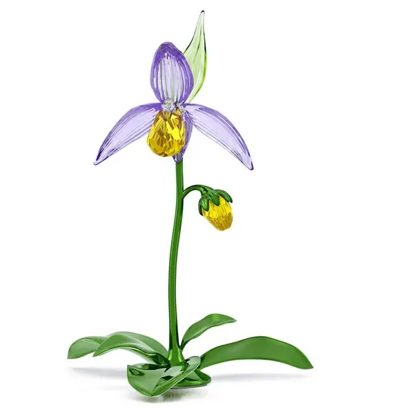 SWAROVSKI Florere Lady Slipper Orchid - Multicoloured