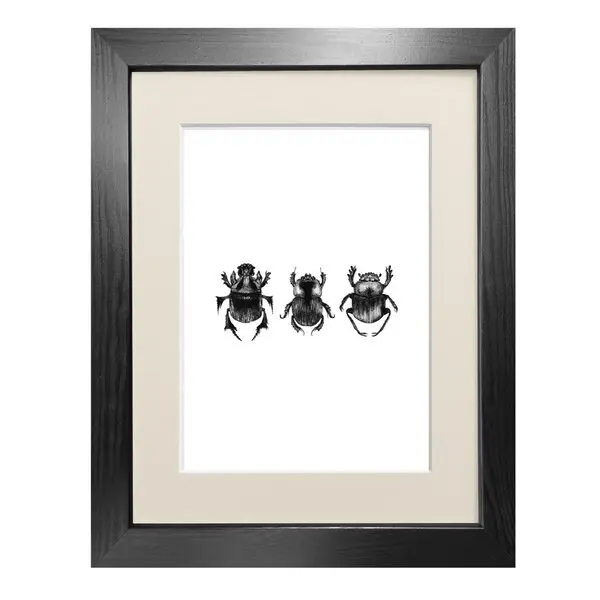 EMILY CARTER Dung Beetles' Fine Art Print A3 - Black