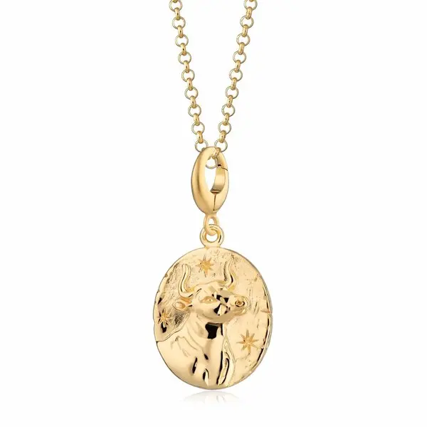 LILY CHARMED Plated Taurus Zodiac Charm Necklace Star Sign Necklace - Gold