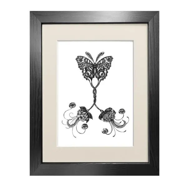 EMILY CARTER Coenia Oculus' Fine Art Print A5 - Black