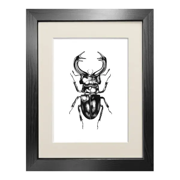 EMILY CARTER The Stag Beetle' Fine Art Print A5 - Black