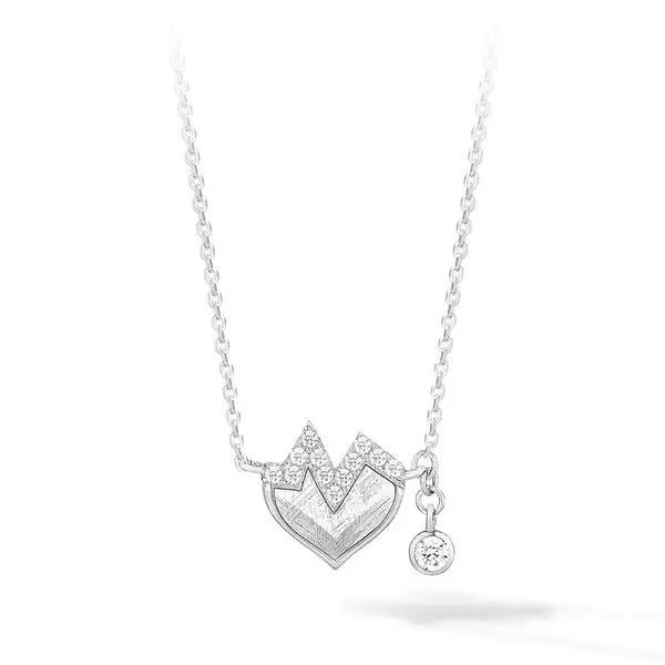 AWNL Flipped Meteorite Sterling Necklace - Silver