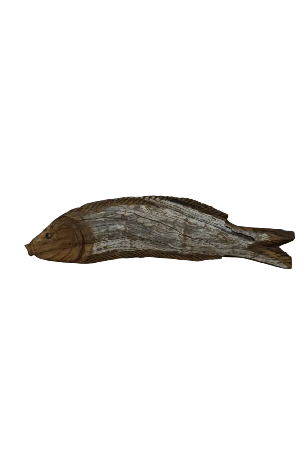 Botanical Boys Driftwood Hand Carved Fish One One Six Two - Brown