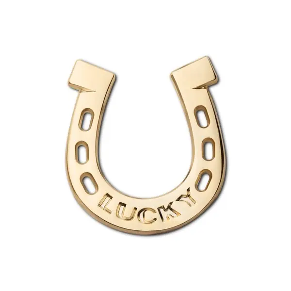 MAKE HEADS TURN En Metal Pin Horseshoe - Gold