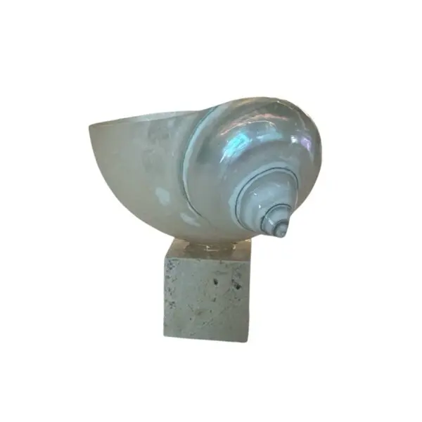 SUKI WANG LONDON Neutrals Natural Seashell Jewelry Decor - White