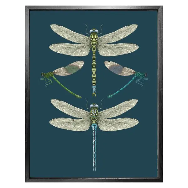 EMILY CARTER Dragonflies & Damselflies Navy Fine Art Print S - Blue