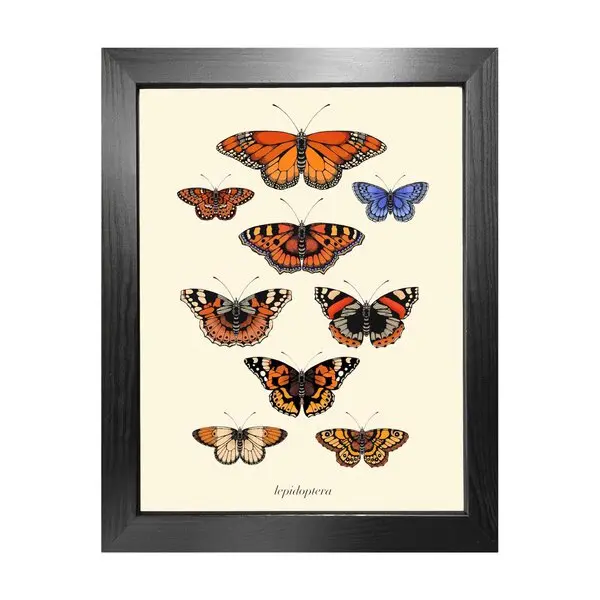 EMILY CARTER Antique British Butterflies' Fine Art Print A3 - Gold