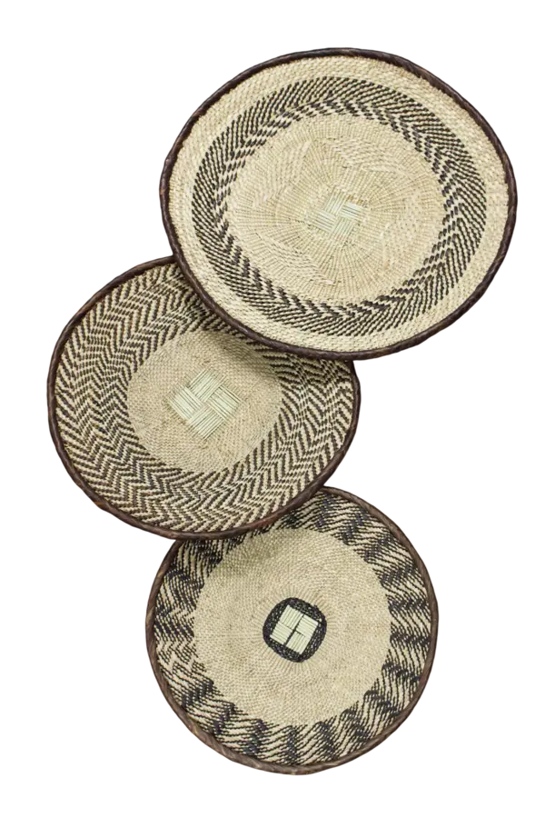 Botanical Boys Neutrals / Tonga Basket Collection Ninety Two - Brown