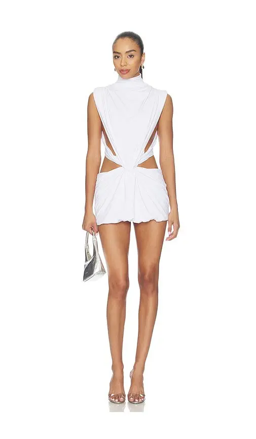 GUIZIO Shyla Mini Dress In . Also