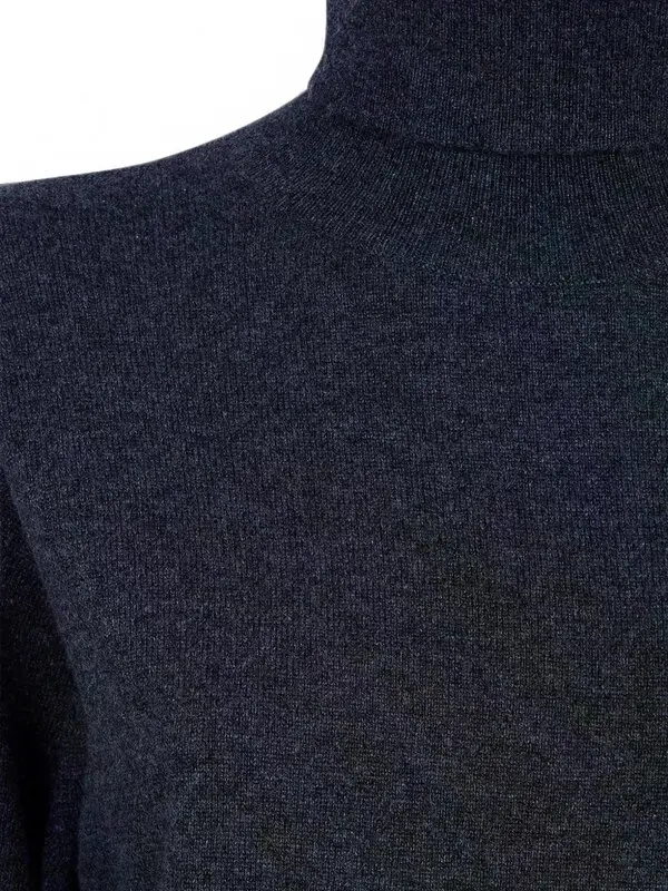 P.a.r.o.s.h Cashmere Roll-neck Sweater