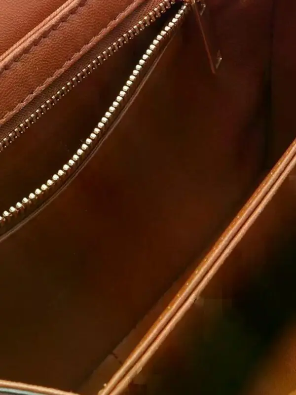 Celine Triomphe Crossbody Bag - Brown