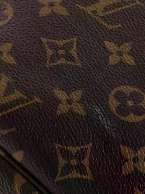 LOUIS VUITTON Monogram Canvas Tote Bag