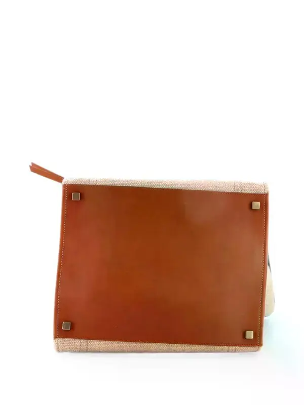 Celine Phantom Bag Canvas Medium Tote Bag
