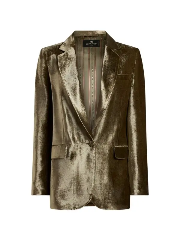 Etro Velvet Single-breasted Blazer Jacket - Brown