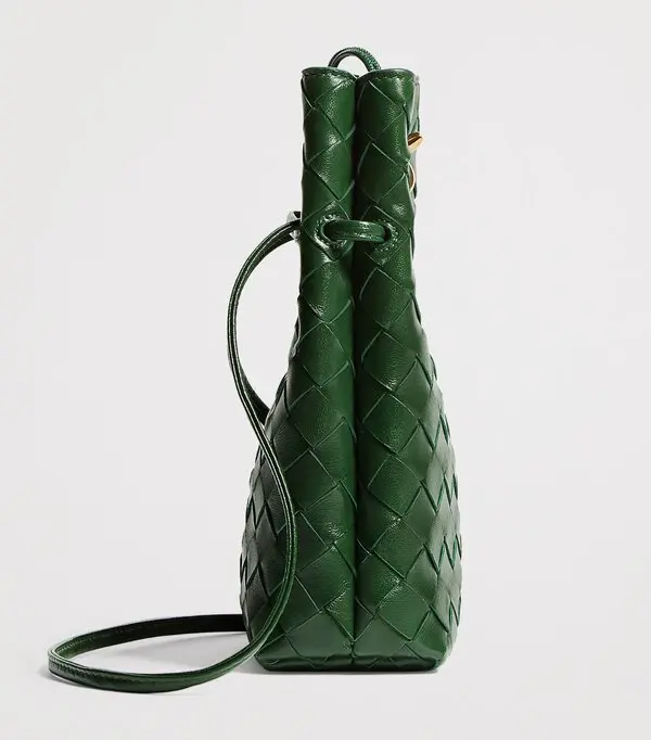 Bottega Veneta Nappa Leather Andiamo Phone Pouch