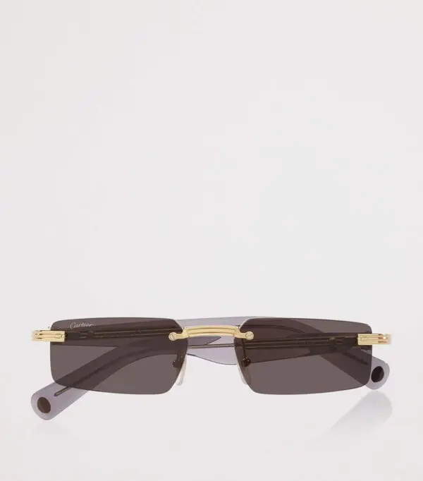 Cartier Narrow Rectangle Sunglasses