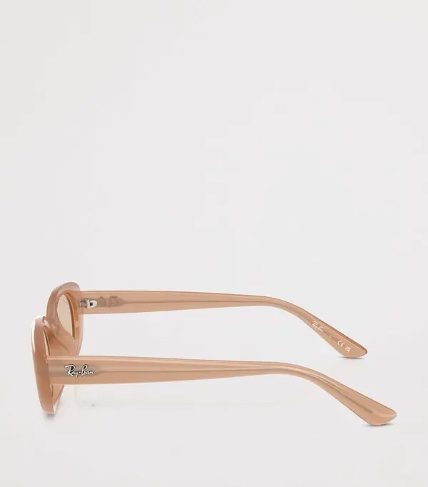 Ray-ban Injected Oval Sunglasses
