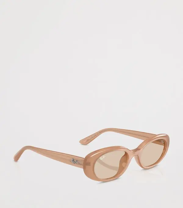 Ray-ban Injected Oval Sunglasses