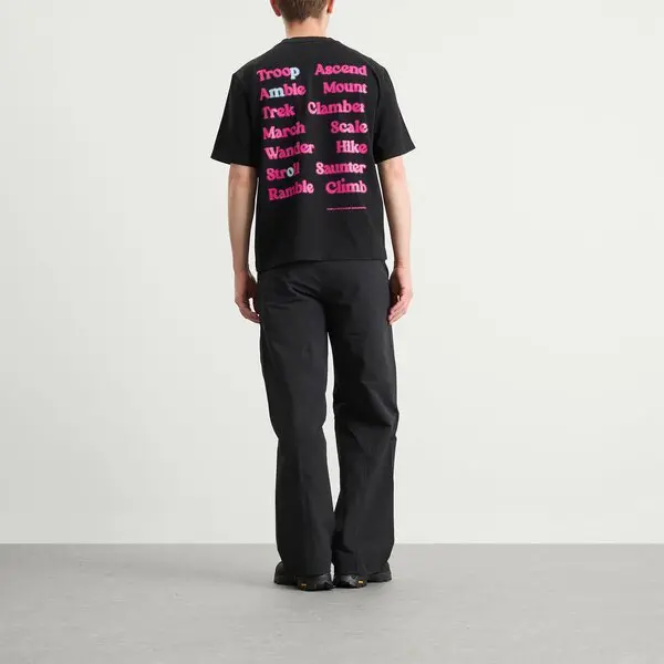 PURPLE MOUNTAIN OBSERVATORY Ascend T-shirt