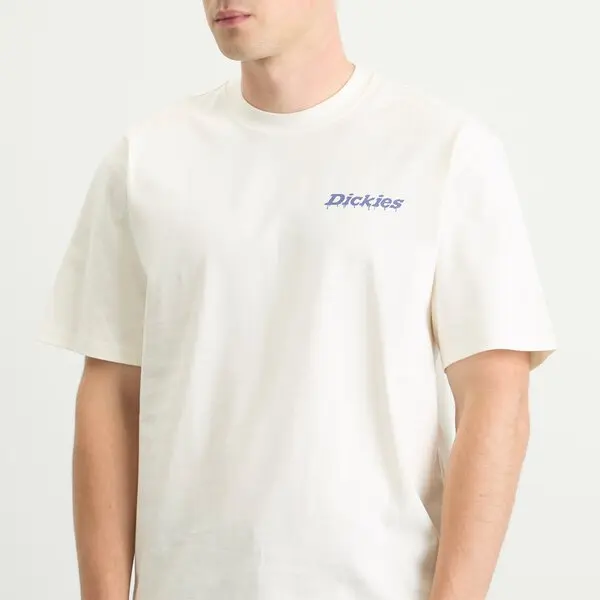 Dickies Statesville T-shirt