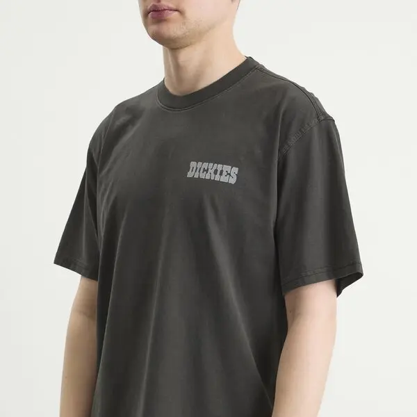 Dickies Buchtell T-shirt - Black