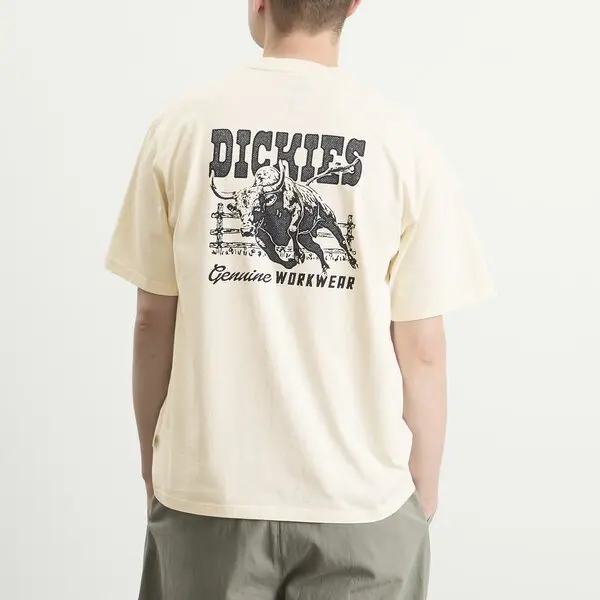 Dickies Buchtell T-shirt - Egret