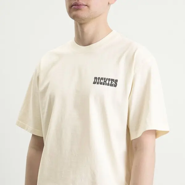 Dickies Buchtell T-shirt - Egret