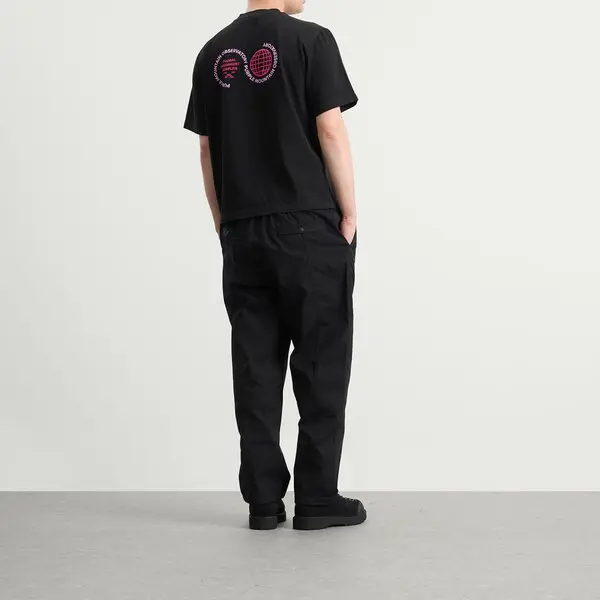 PURPLE MOUNTAIN OBSERVATORY Globe T-shirt