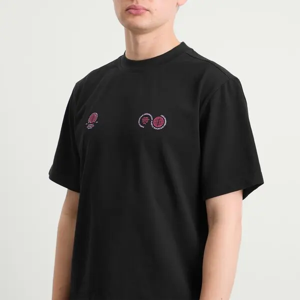 PURPLE MOUNTAIN OBSERVATORY Globe T-shirt
