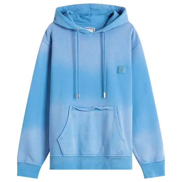 WOOYOUNGMI Washed Back Logo Hoodie - Blue