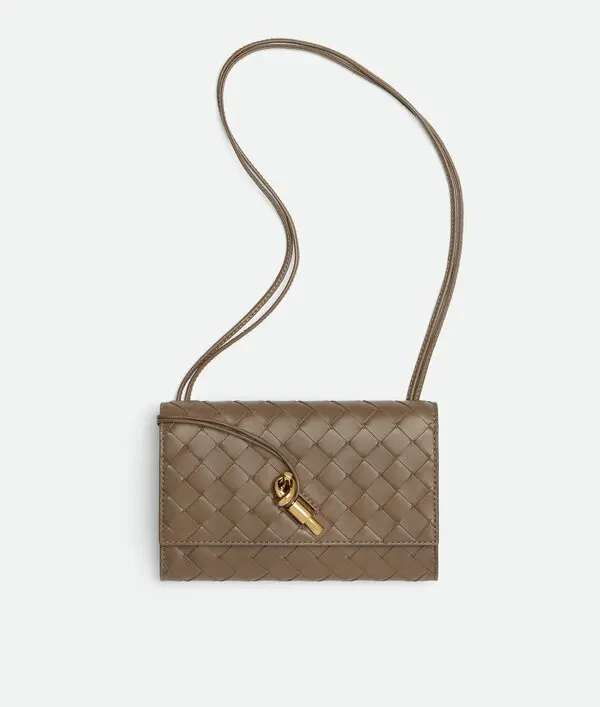 Bottega Veneta Andiamo Pouch On Strap - Pinecone